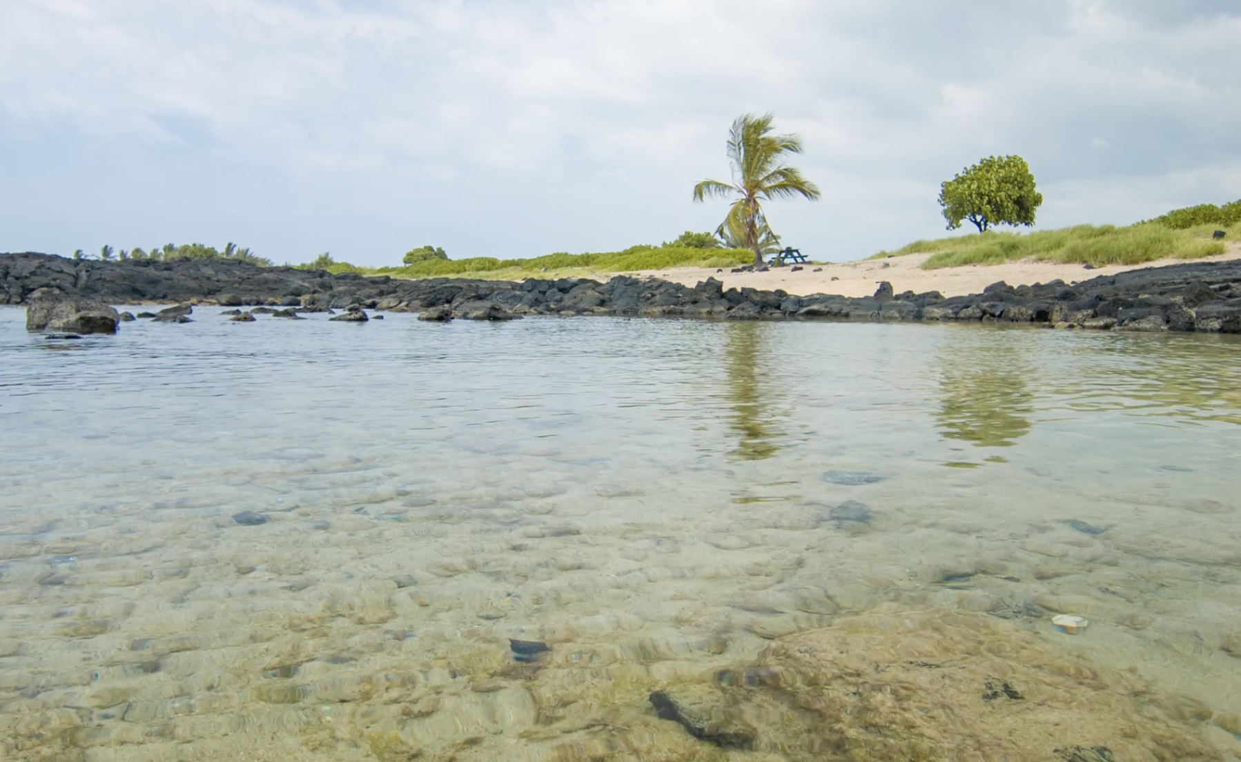 The Ground State in Energy Landscape: Luxury as Museologic Derivatives ...